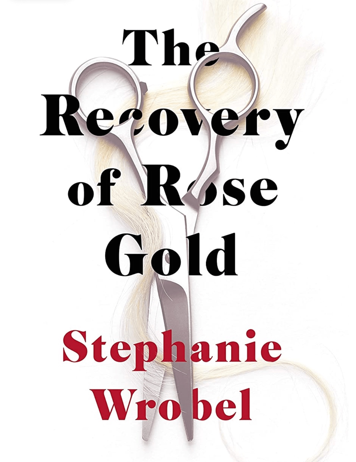 The Recovery of Rose Gold~Stephanie Wrobel – Morelli’s Reads